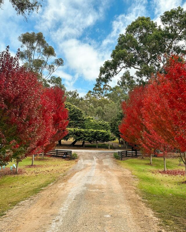 2023 | Howard Vineyard