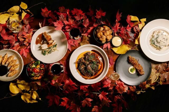 What's on | Howard Vineyard
