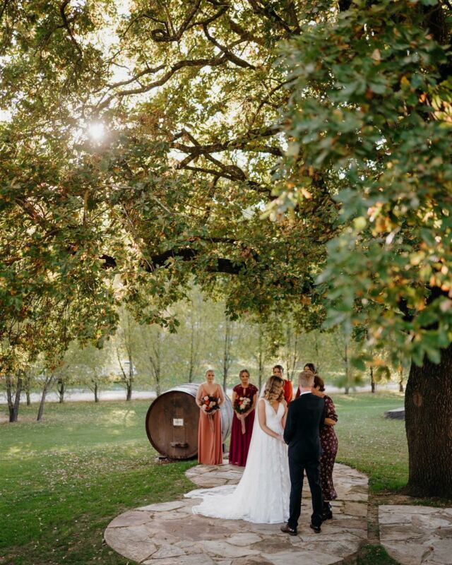 What's on | Howard Vineyard