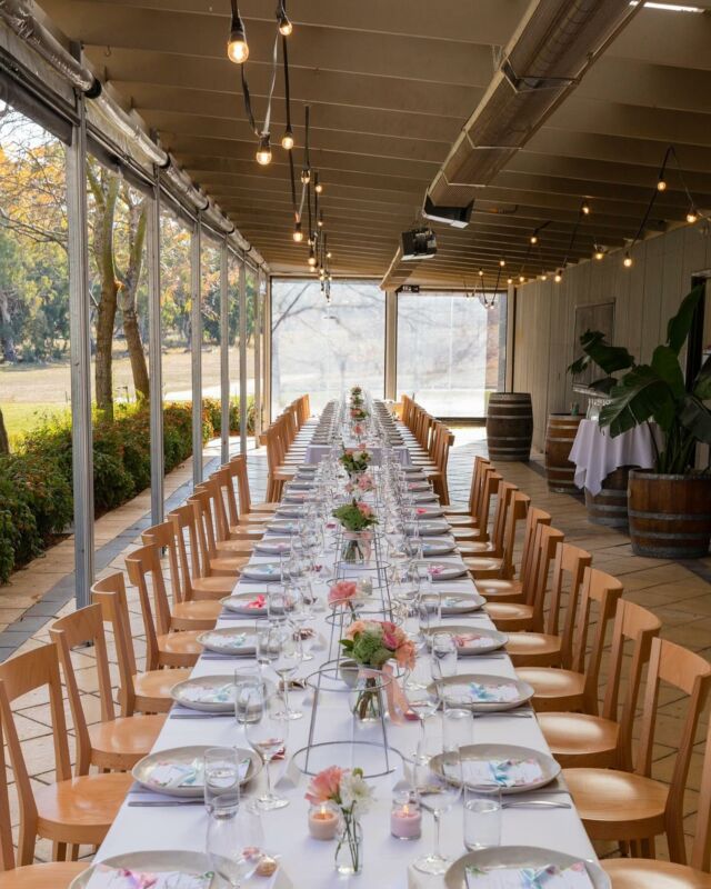 What's on | Howard Vineyard